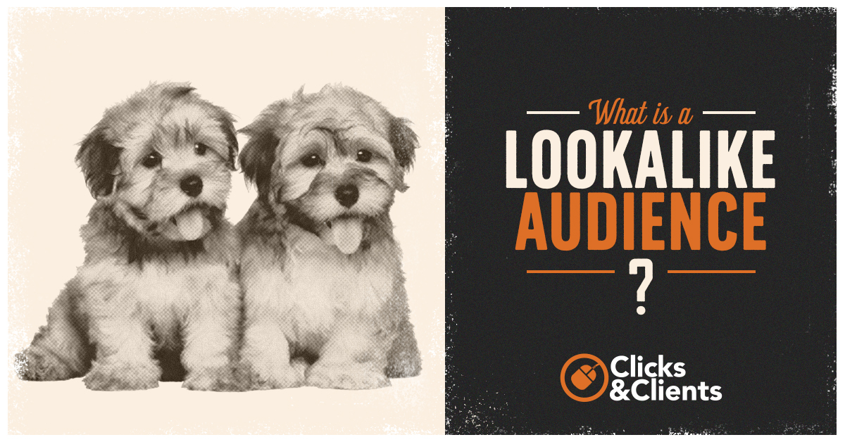 What is a Lookalike Audience? - Clicks and Clients